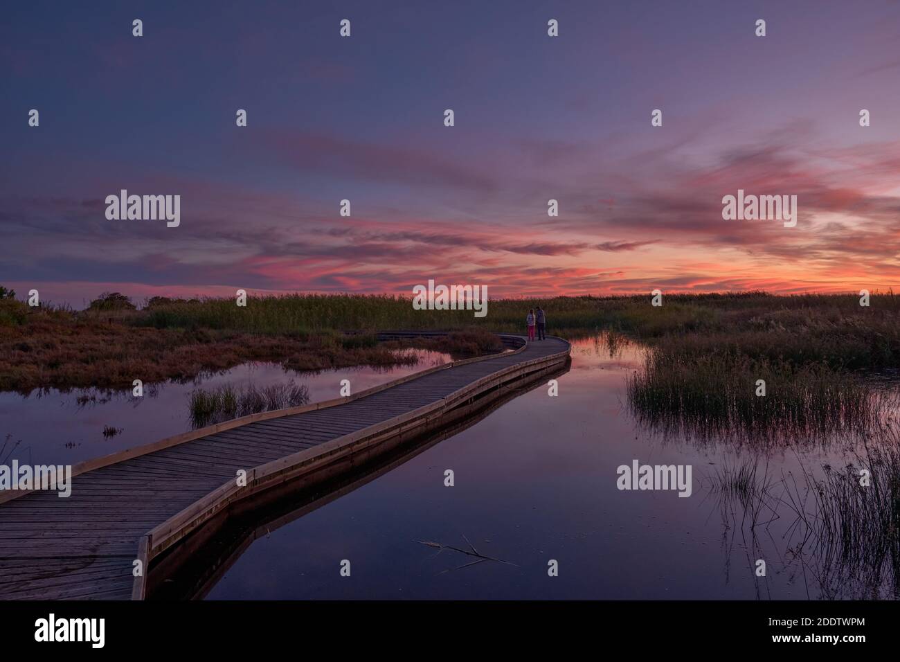wooden bridge across the lake Stock Photo - Alamy