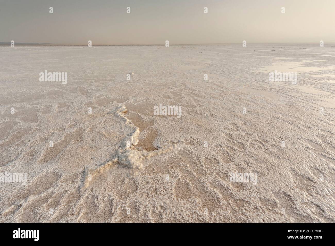 Lake Karum or Lake Asale hyper saline salt lake in the Danakil ...