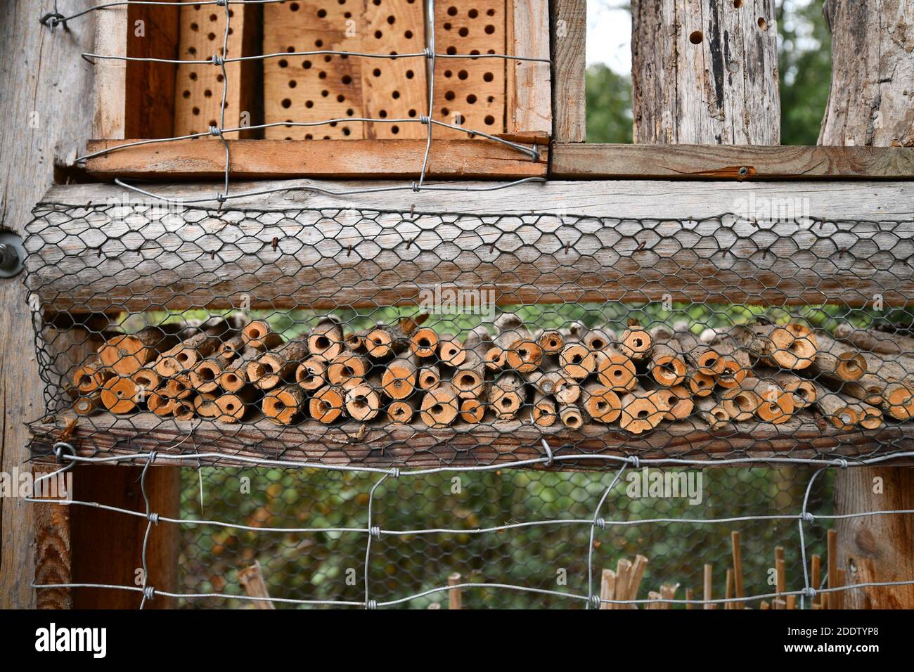 Detail of insect house hotel structure made out of natural wood ...