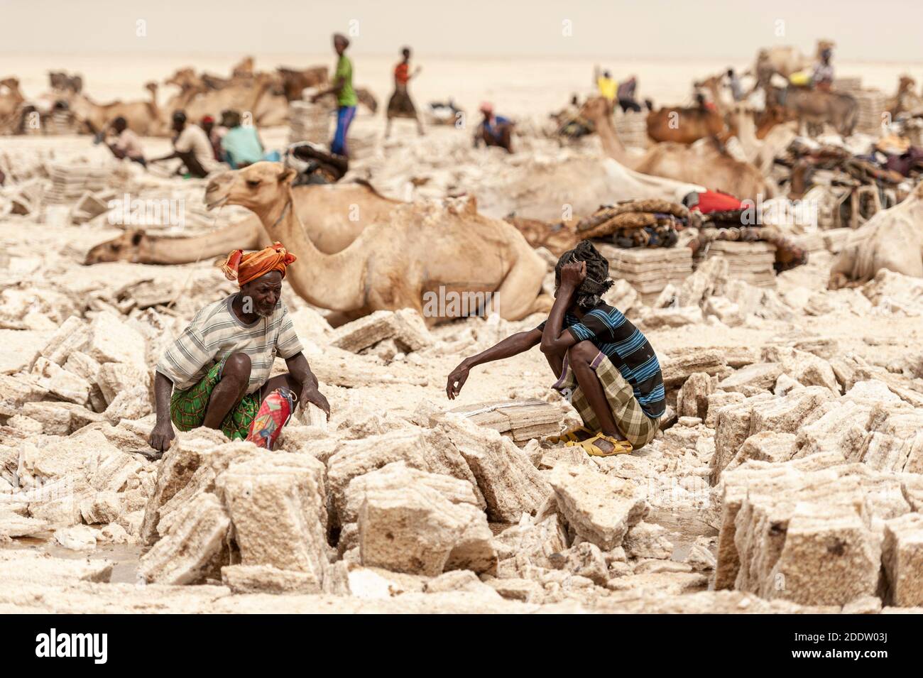 Salt slab africa hi-res stock photography and images - Alamy
