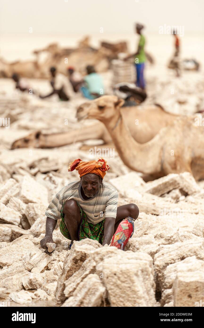 Salt miners working in the Danakil Depression salt fields in the Afar ...