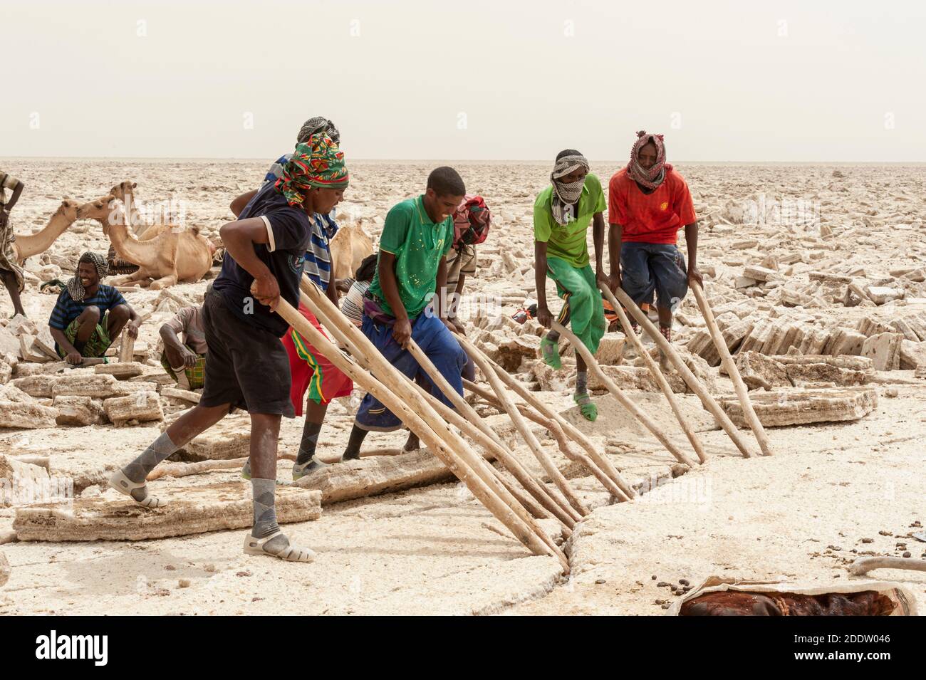 Salt miners working in the Danakil Depression salt fields in the Afar ...
