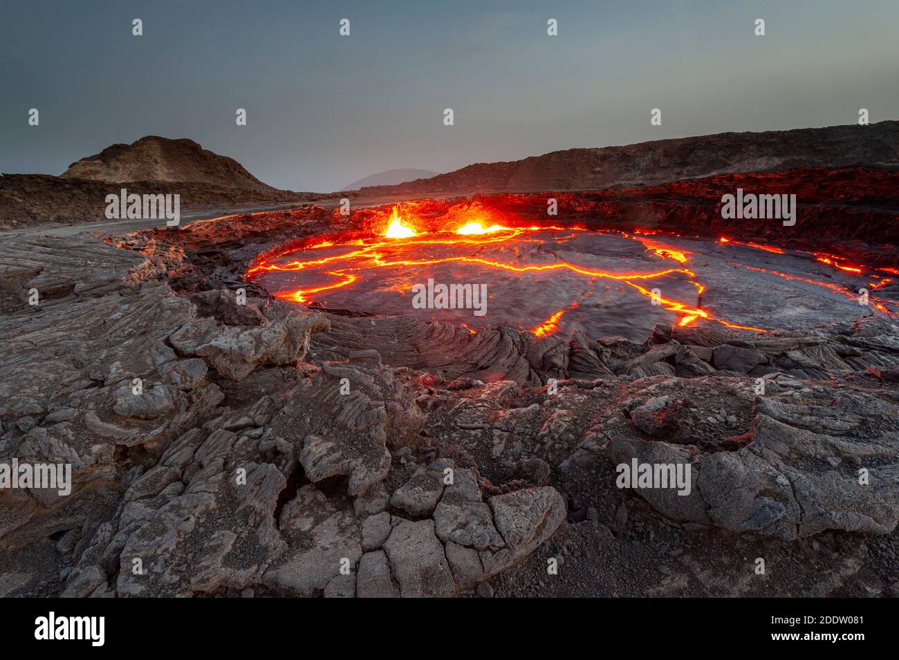 Active Shield Volcanoes