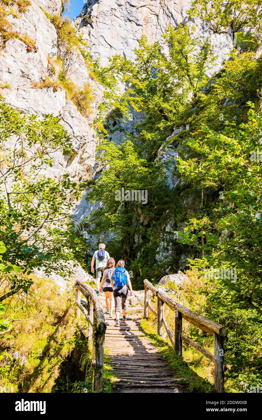 Hikers crossing the bridge. River Alba Trail. Redes Natural Park and ...