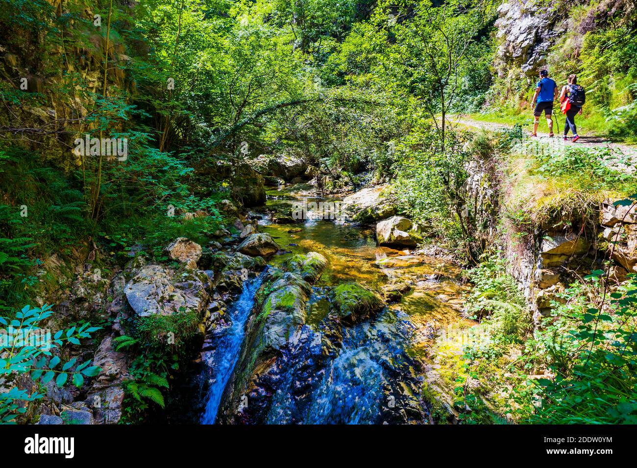 Alba river redes natural park hi-res stock photography and images - Alamy