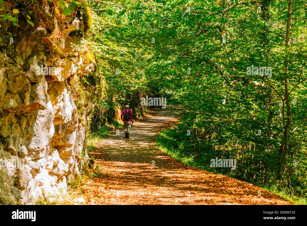 Alba river redes natural park hi-res stock photography and images - Alamy
