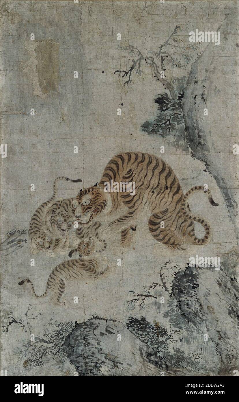 Korea - Family of Tigers Stock Photo - Alamy