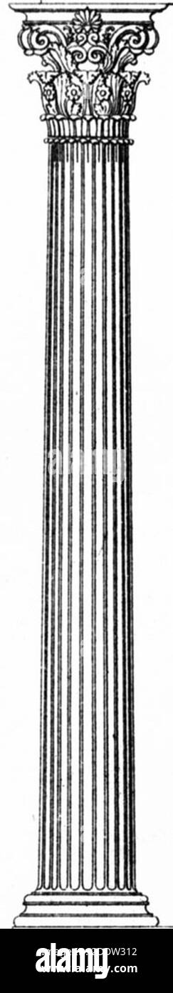 Tree column Black and White Stock Photos & Images - Alamy