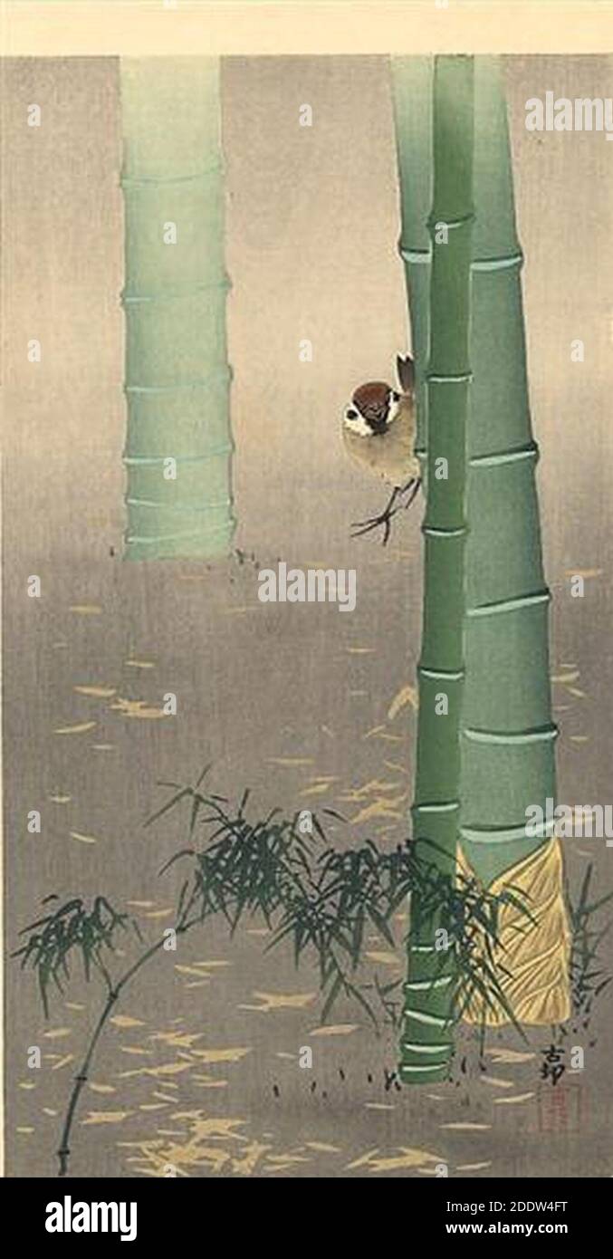 Koson - tree-sparrow-and-bamboo Stock Photo - Alamy