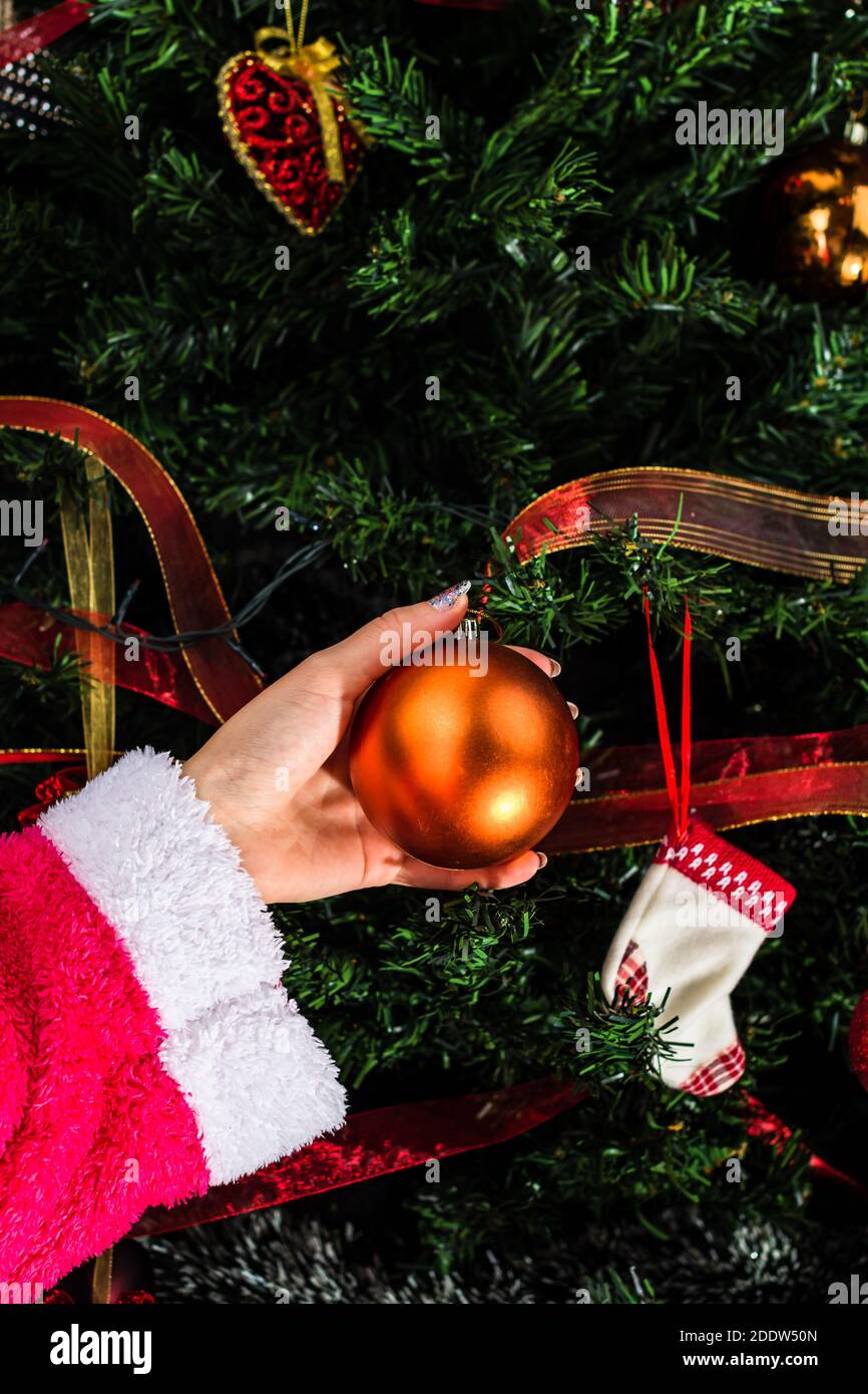 Decorating Christmas tree, hand putting Christmas decorations on fir ...