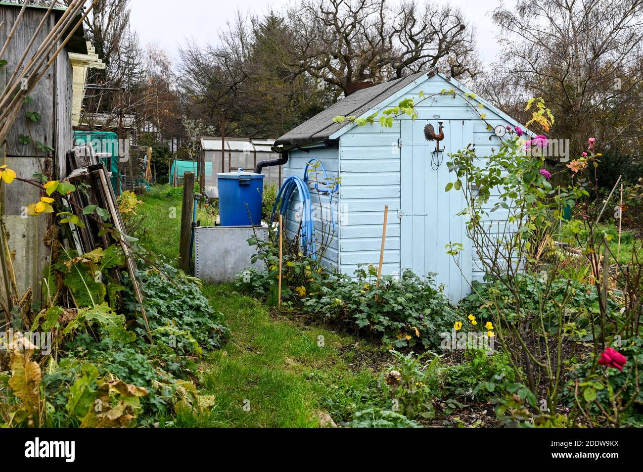 Pale blue shed hi-res stock photography and images - Alamy