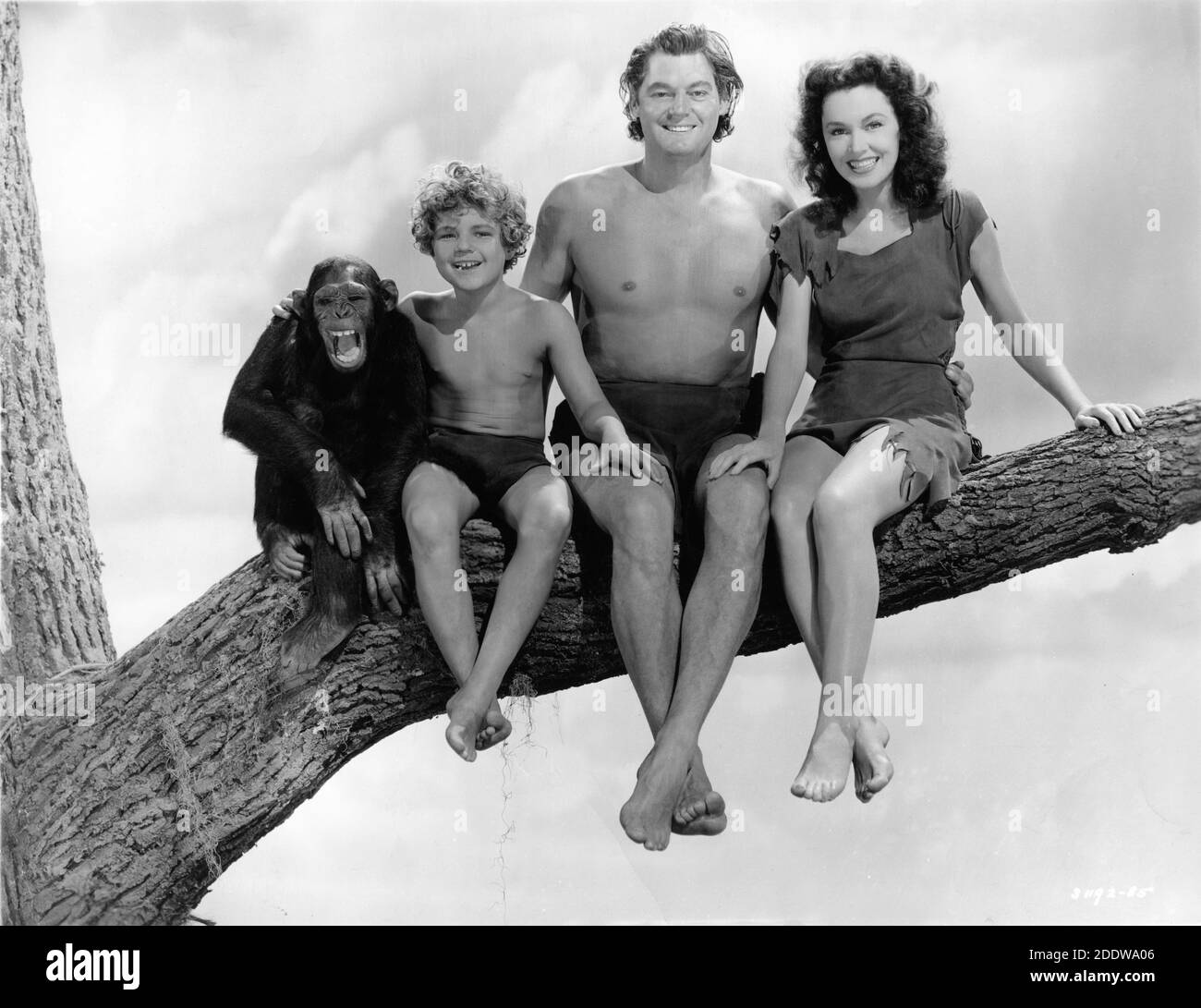 CHEETEAH the Chimpanzee JOHNNY SHEFFIELD JOHNNY WEISSMULLER and MAUREEN ...