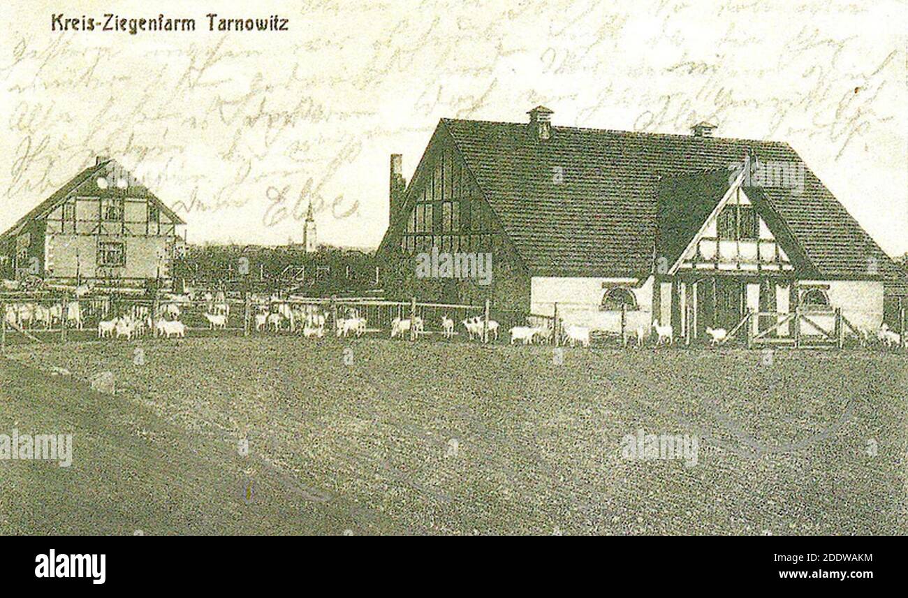 Tarnowitz hi-res stock photography and images - Alamy