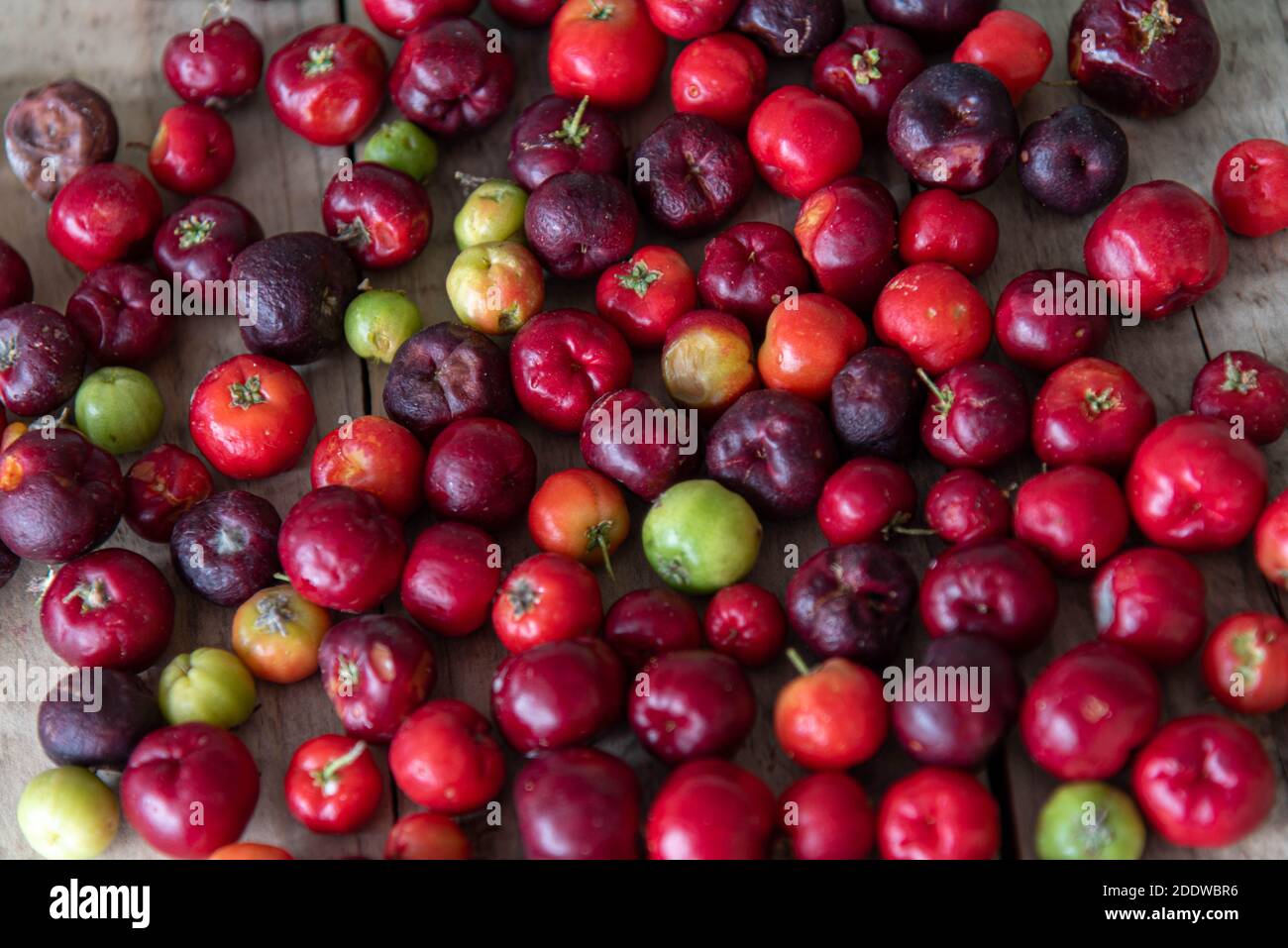 Acerola fruits (Malpighia emarginata). Small fruit with fleshy flesh ...