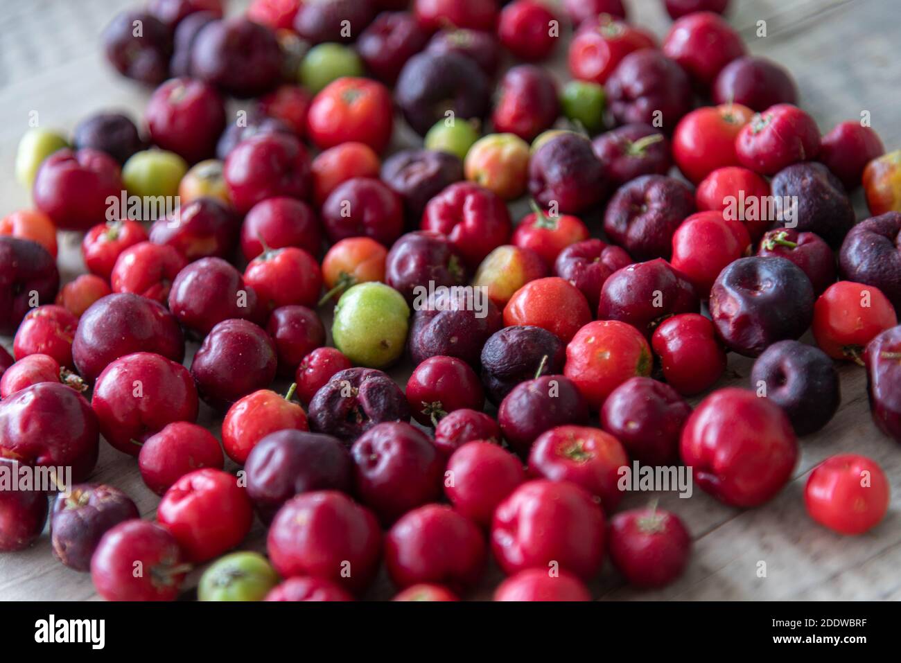 Acerola fruits (Malpighia emarginata). Small fruit with fleshy flesh ...