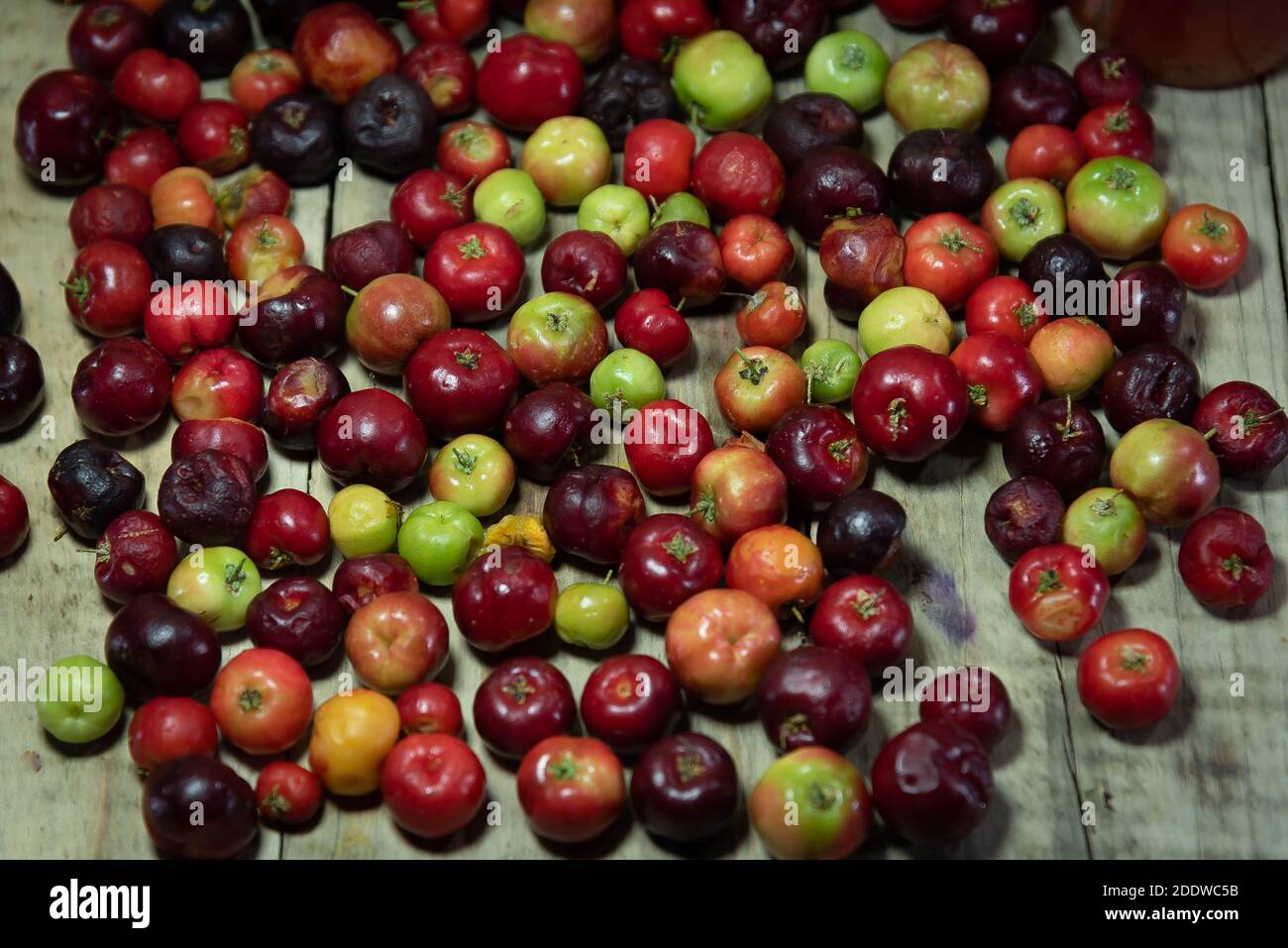 Acerola fruits (Malpighia emarginata). Small fruit with fleshy flesh ...