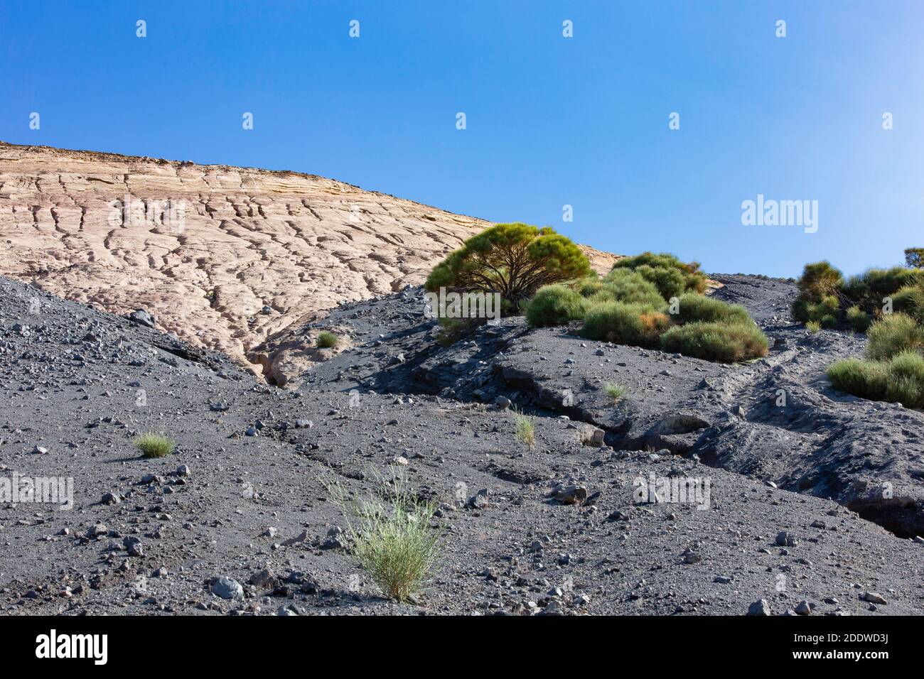Aeolian Islands, Volcano (Vulcano Island), lava rocks, craterand sulfur ...