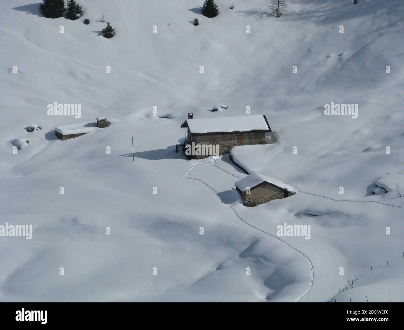 Immersed in switzerland nature hi-res stock photography and images - Alamy