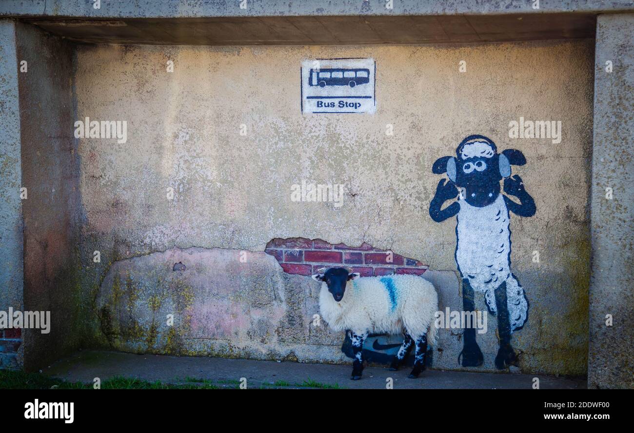 Bus Stop Vector High Resolution Stock Photography and Images - Alamy