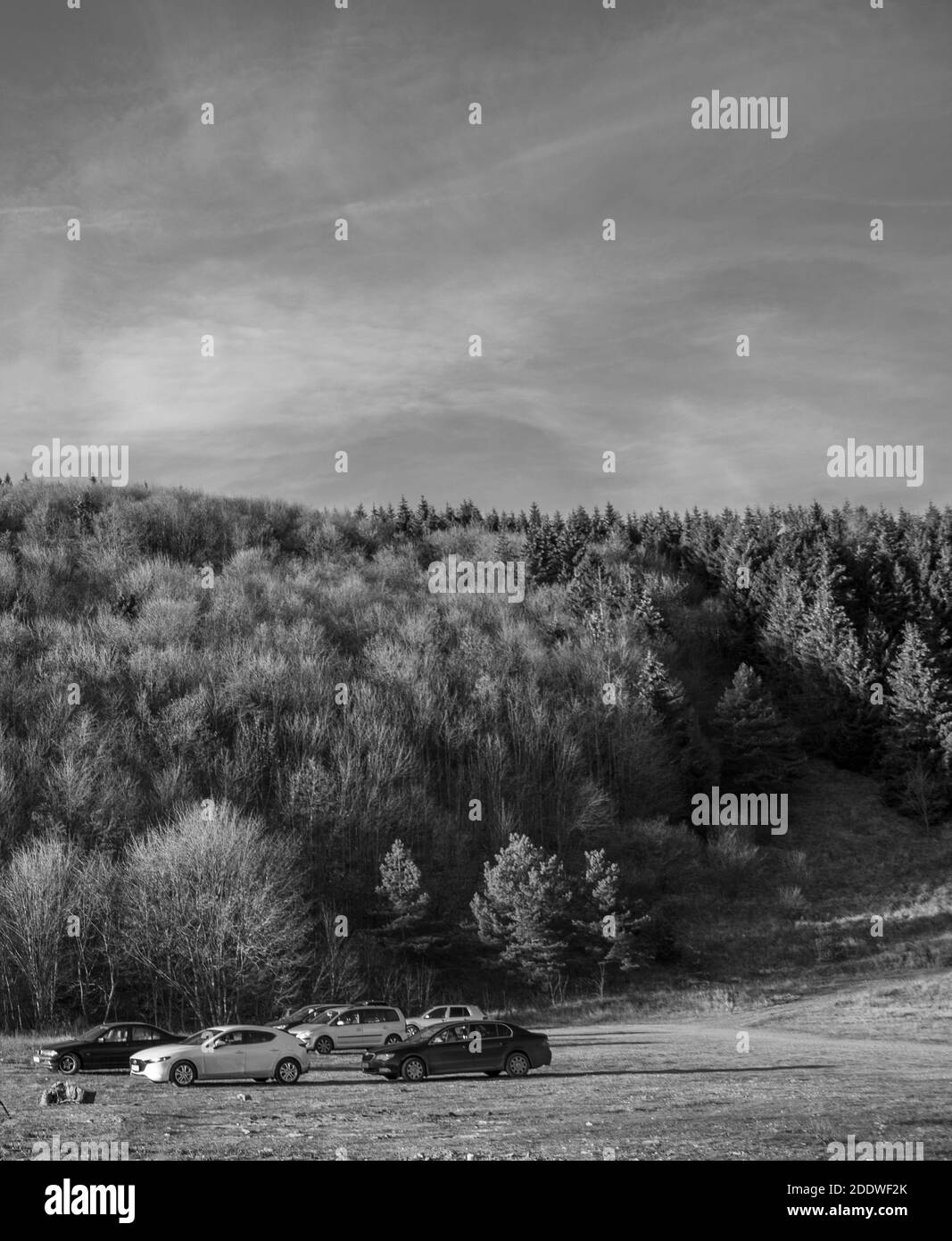 Car clear view Black and White Stock Photos & Images - Alamy