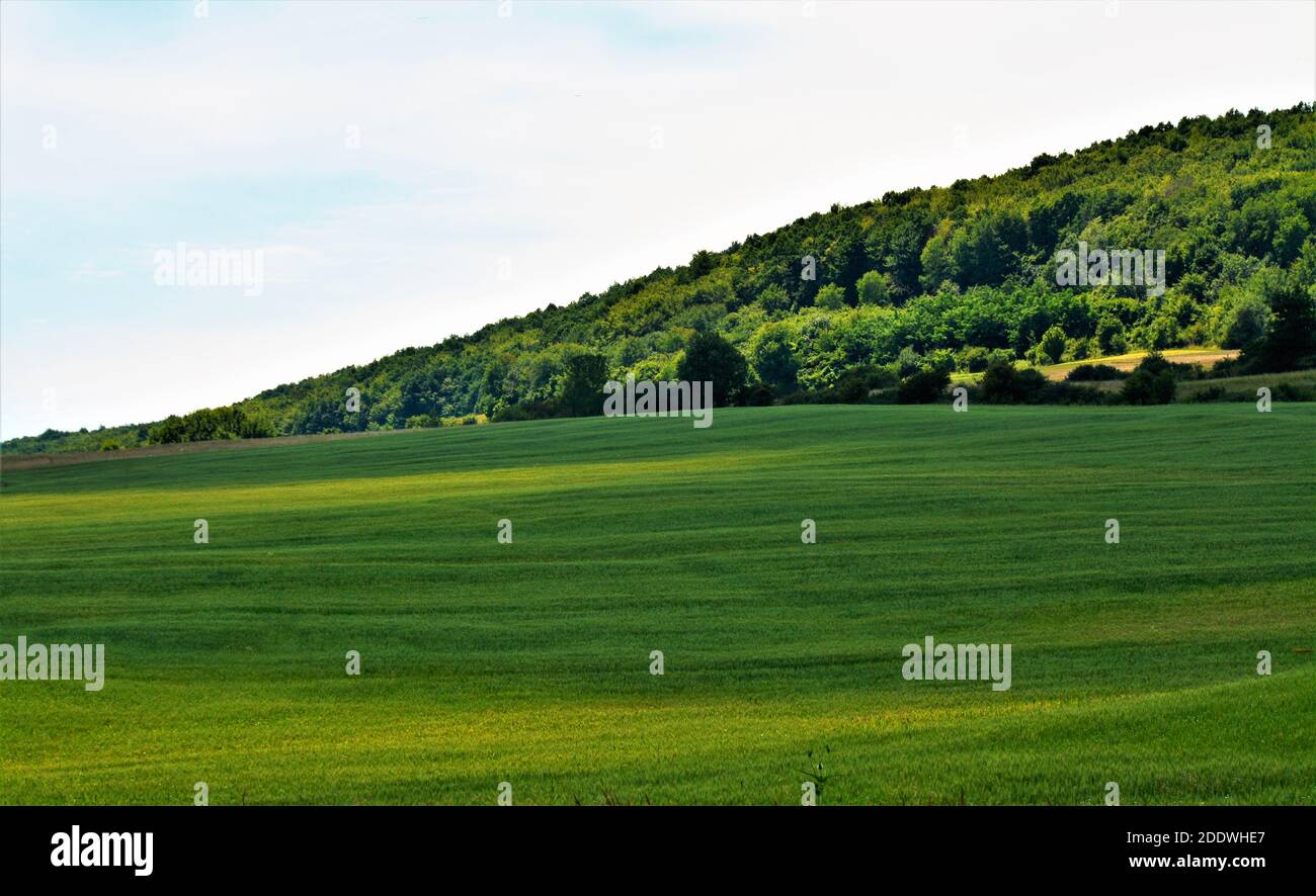 A scenic green landscape with hilly terrain in the background Stock ...