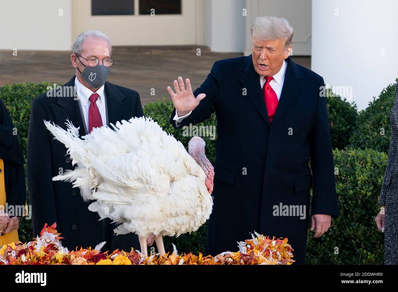 U.S. President Donald Trump officially pardons “Corn” during the ...