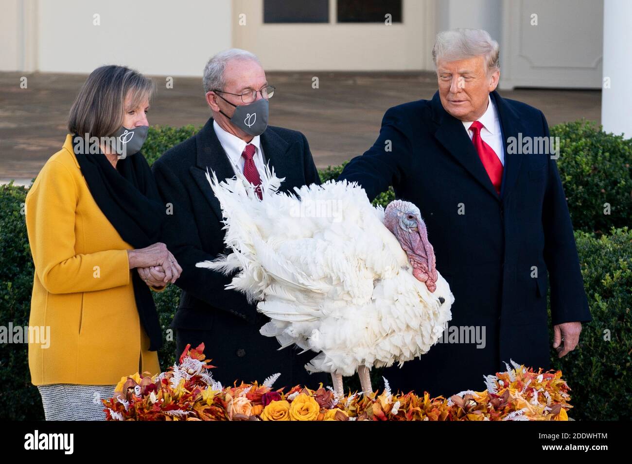 U.S. President Donald Trump officially pardons “Corn” during the ...