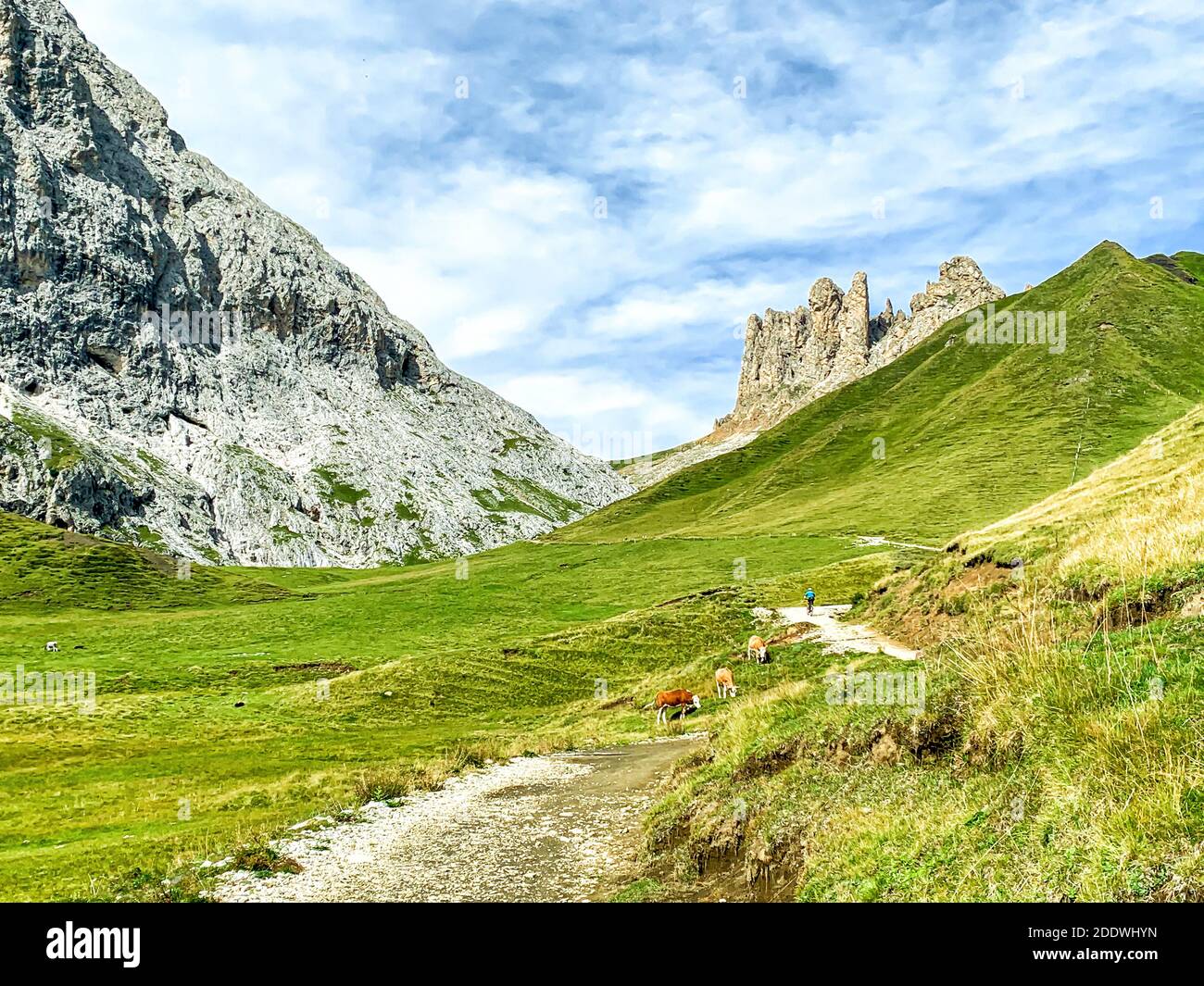 Man going with mountain bike in a mountain route - Young mountain biker ...
