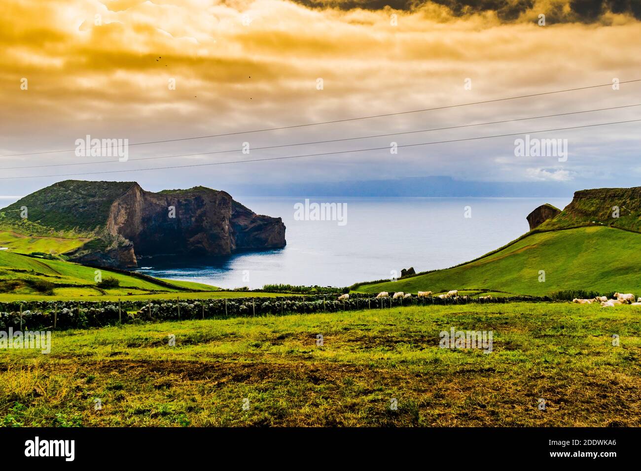 The azores autumn hi-res stock photography and images - Alamy