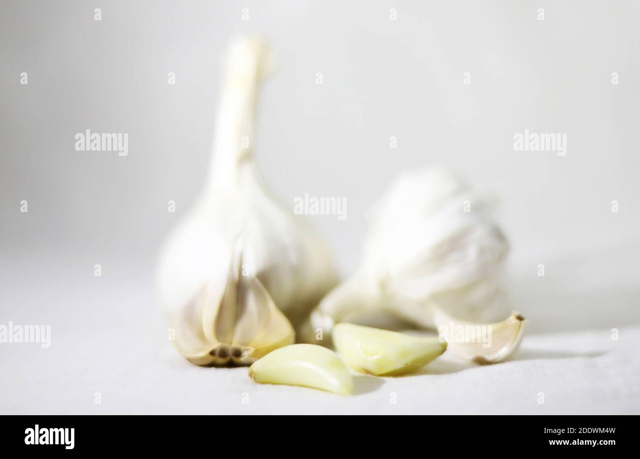Isolated garlic. Raw garlic with segments isolated on white backgrounds ...