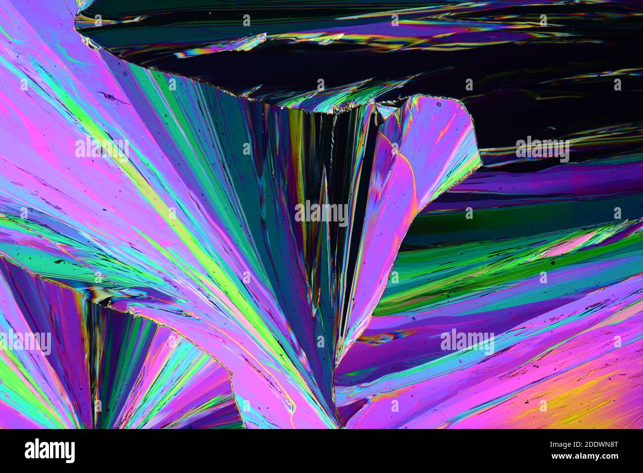 Crystals of salicine under microscope with polarized light Stock Photo ...