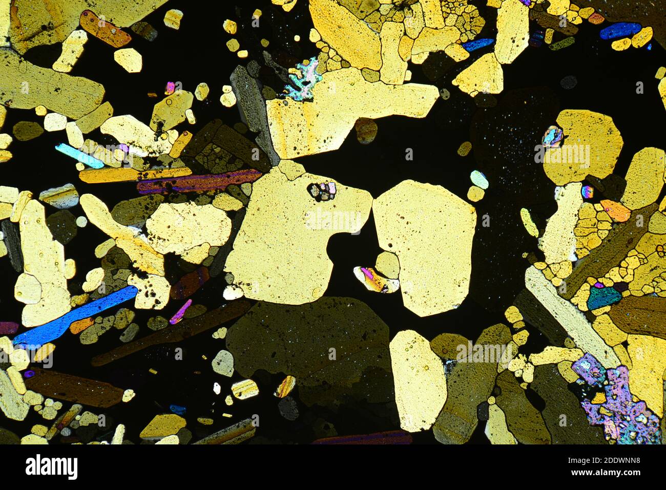 Photographic developer hi-res stock photography and images - Alamy