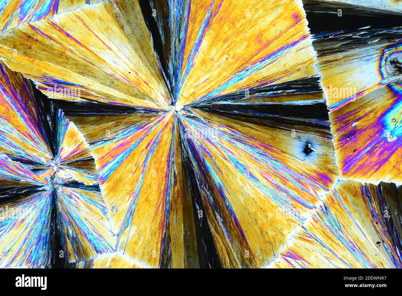 Crystals of salicine under microscope with polarized light Stock Photo ...