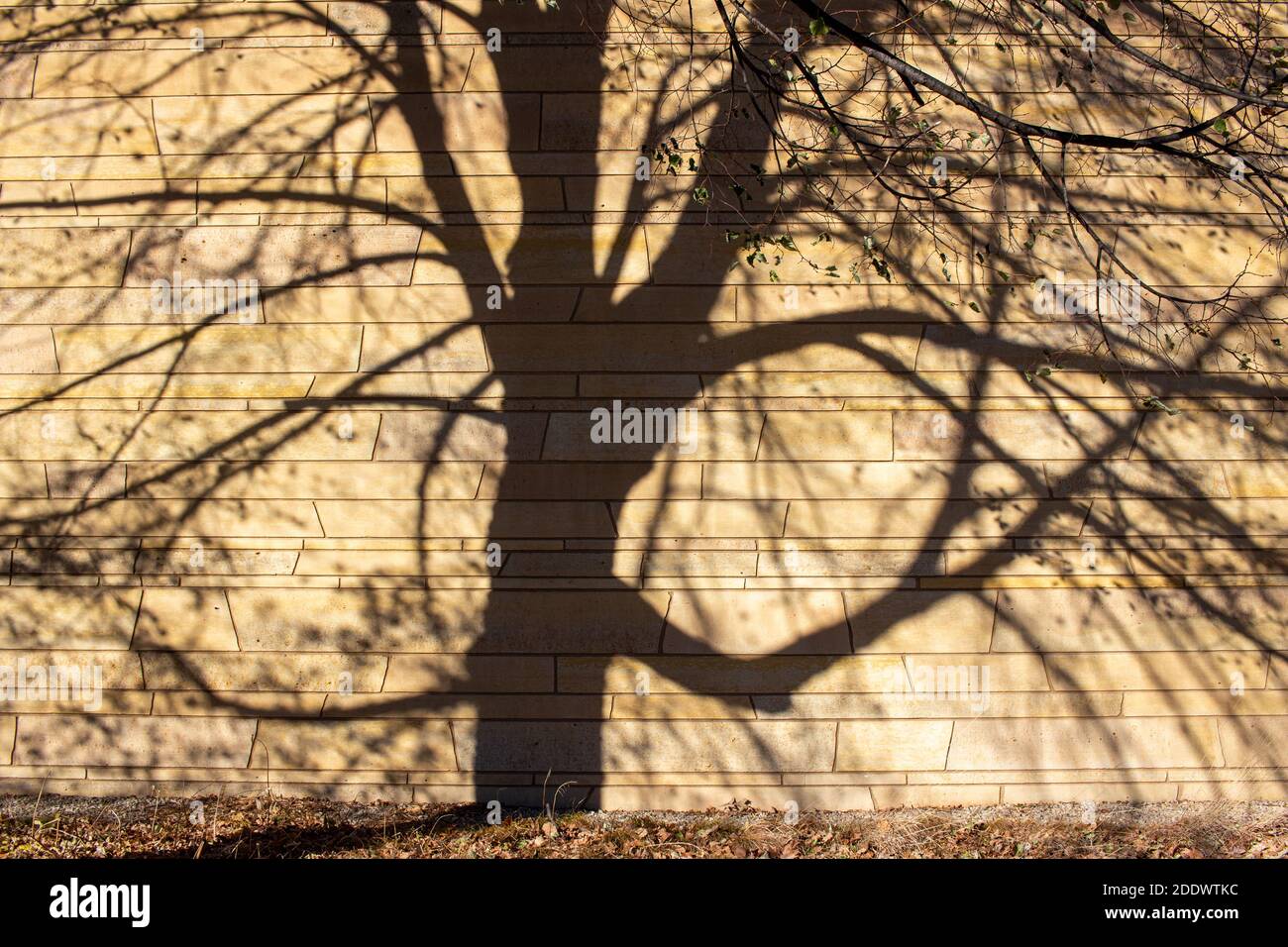 Full frame abstract background of an exterior tan stone brick wall, in ...