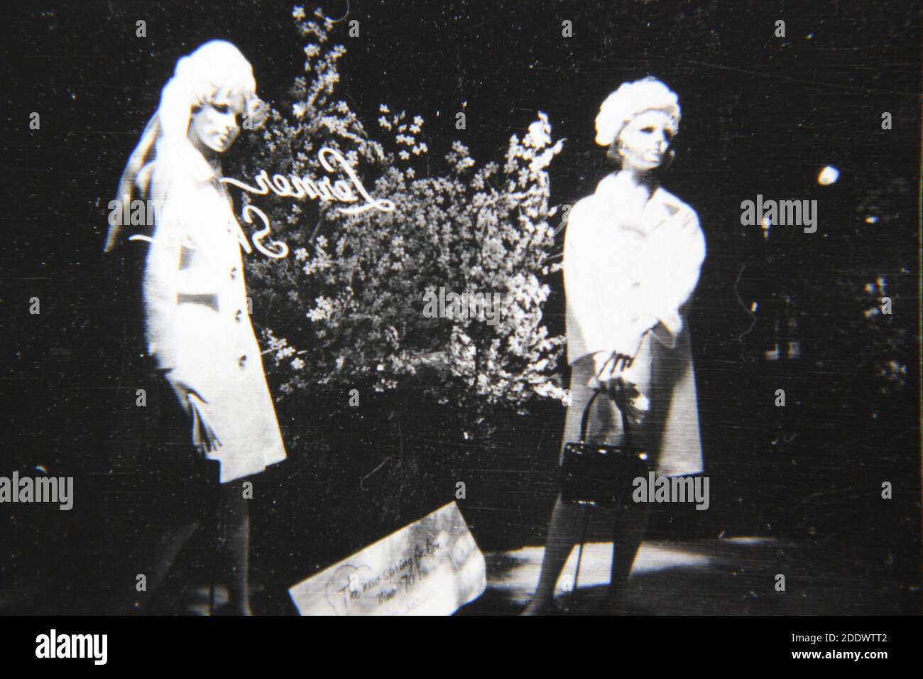 Fine 1970s vintage black and white photography of a store window ...