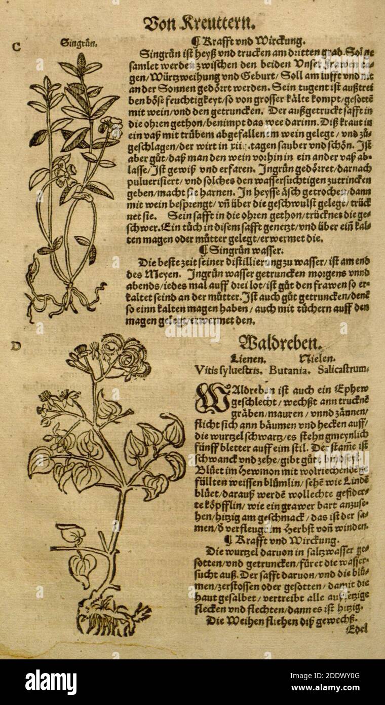 Kreuterbuch High Resolution Stock Photography and Images - Alamy