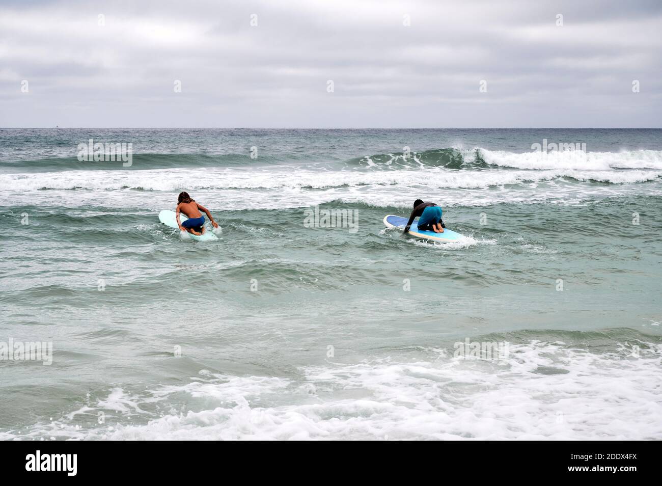 Two surfers paddling out to the surf line in the Gulf of Mexico along ...