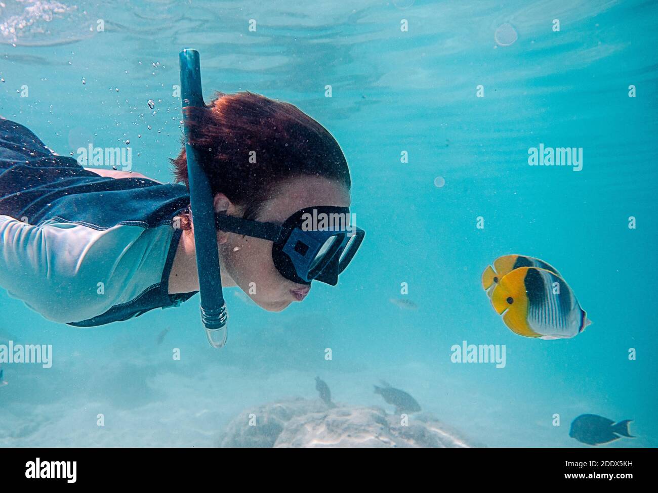 Stock photo of young boy wearing diving goggles looking at colorful ...
