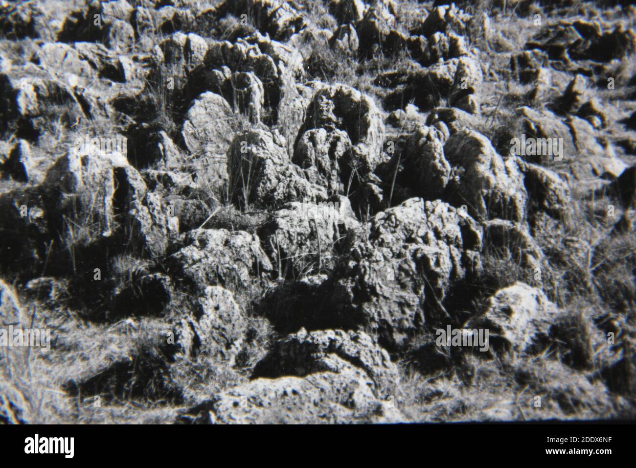 Fine 1970s vintage black and white photography of bumpy and rough ...