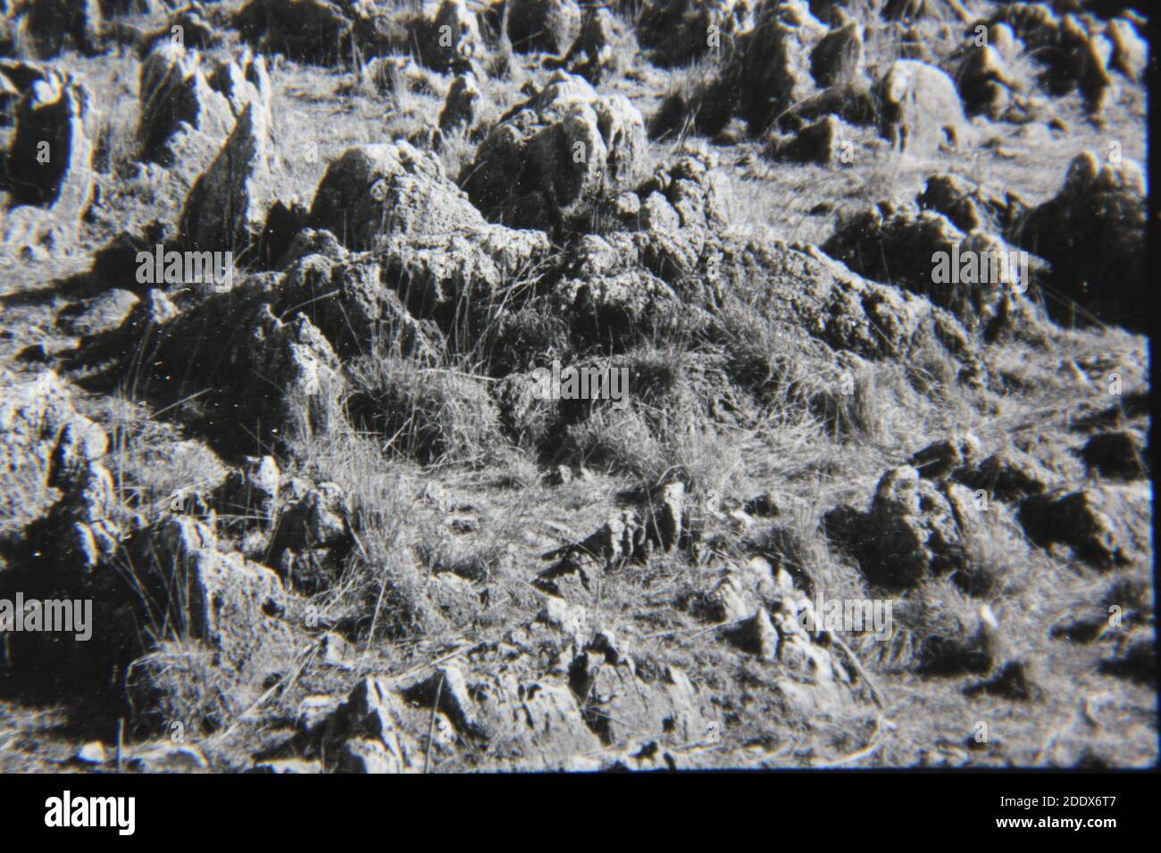 Fine 1970s vintage black and white photography of bumpy and rough ...