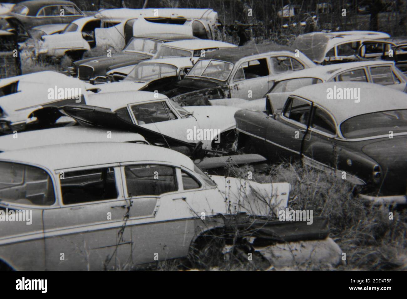 Fine 1970s vintage black and white photography of a junkyard full of ...