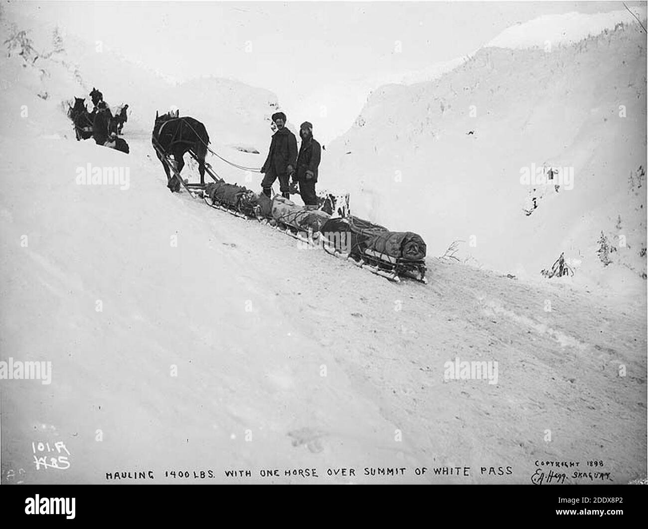 Klondikers hauling sled weighing 1400 lbs with one horse over summit of ...