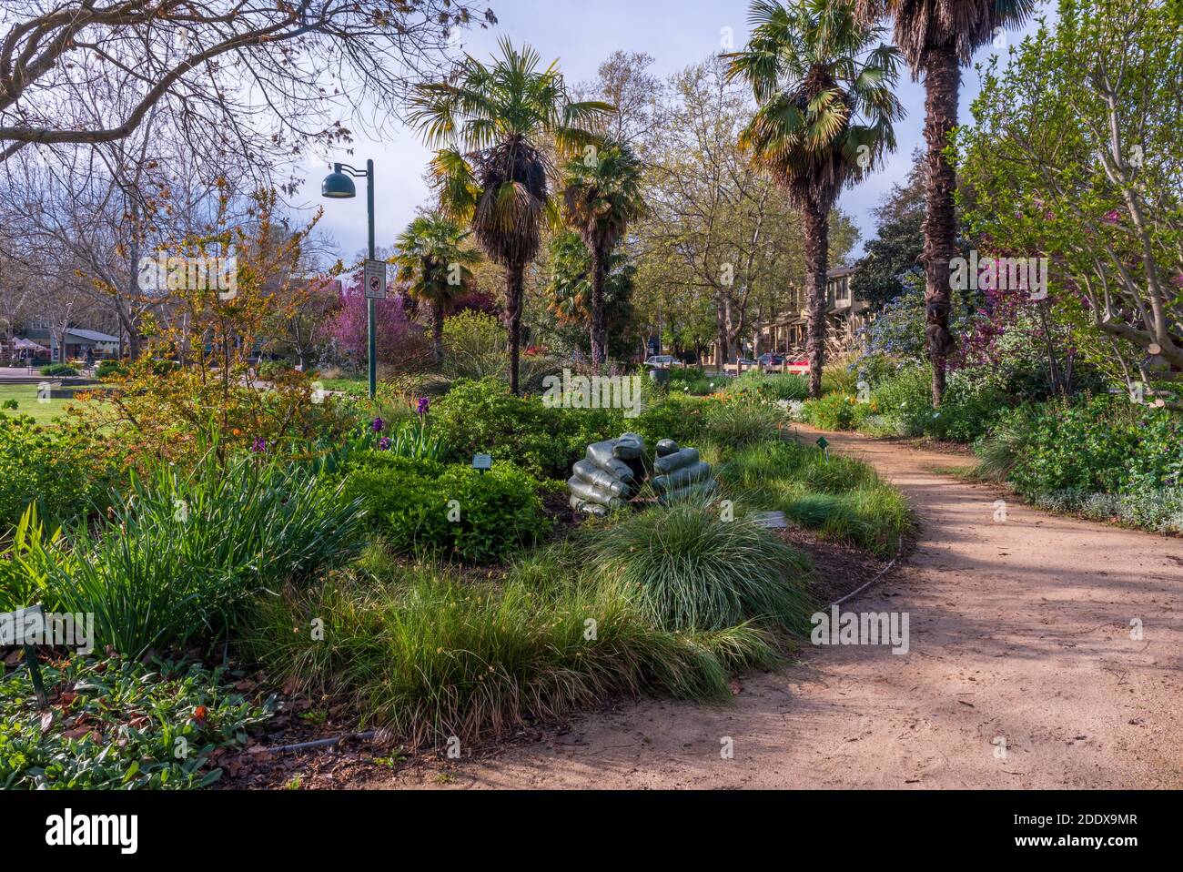 Davis, California, USA. March 21, 2020. Davis Central Park gardens in ...