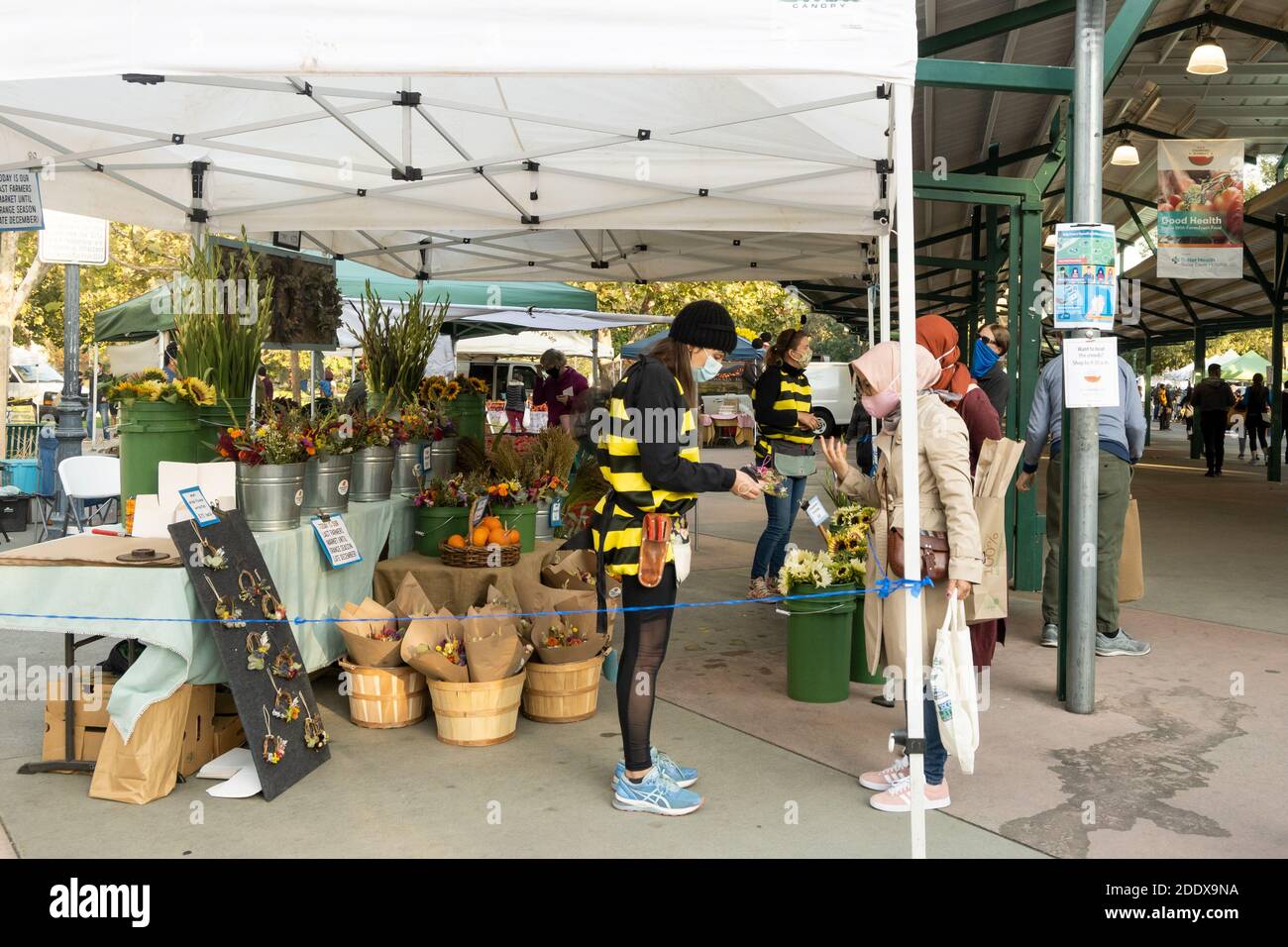 Davis, California, USA. October 31, 2020. Overview of the Davis farmers ...