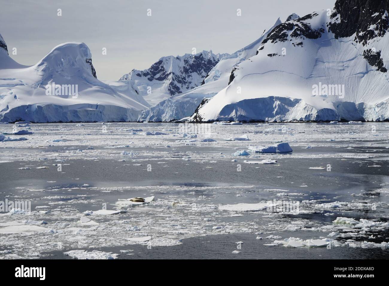 Summer landscape in Antarctica with melting snow, sea, icebergs, white ...