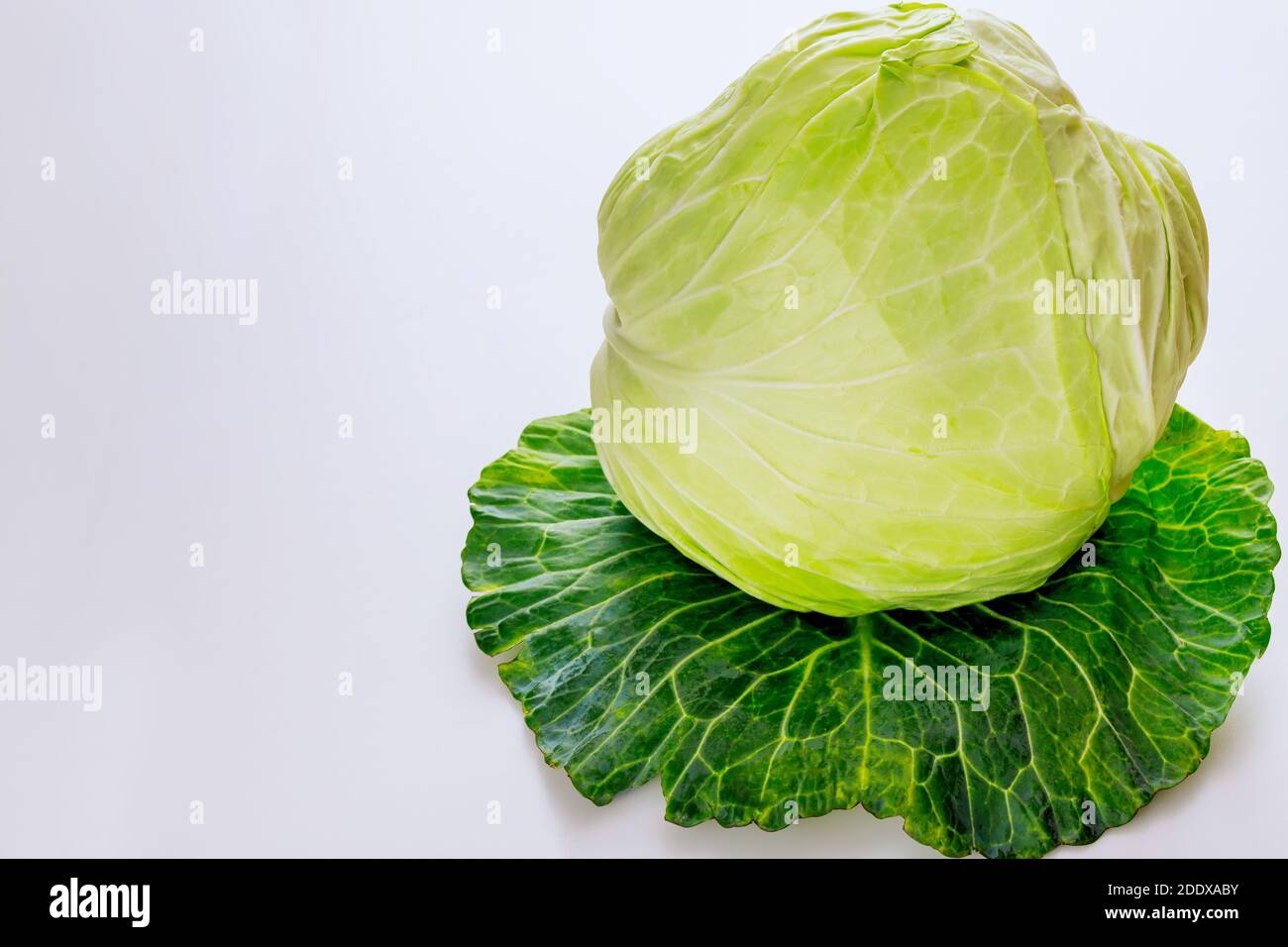 Crunchy cabbage isolated on white background. Close up Stock Photo - Alamy