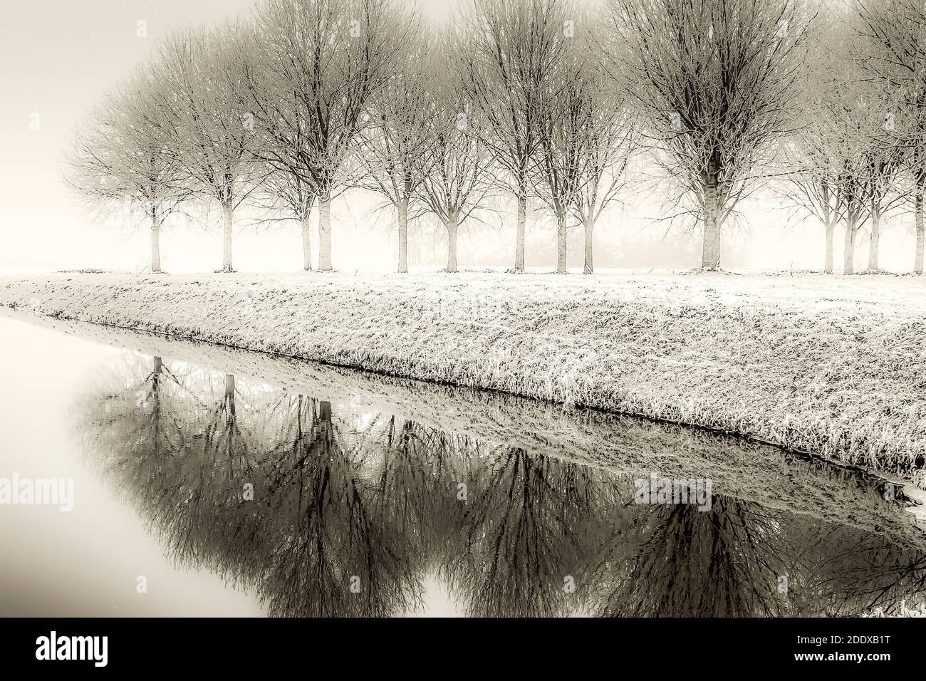 Netherlands, January 2017. A wonderful winter landscape in the northern ...