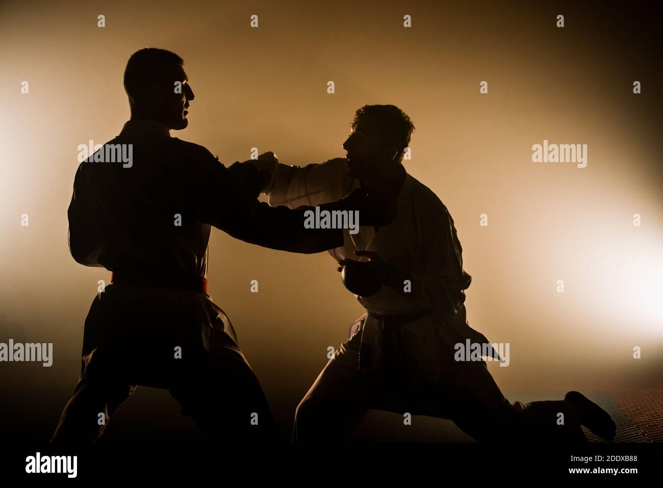 An athlete with a red belt and in karategi performs a formal karate ...