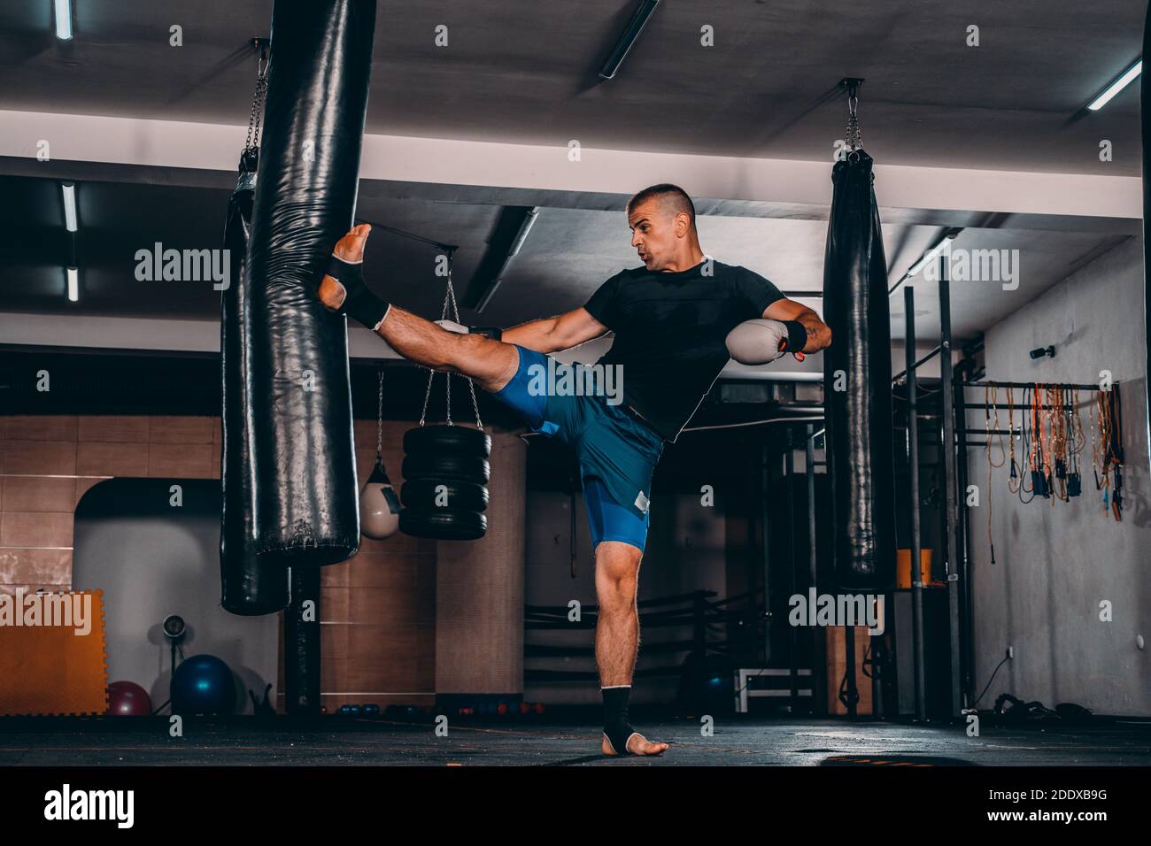 Boxer getting ready fight hi-res stock photography and images - Alamy
