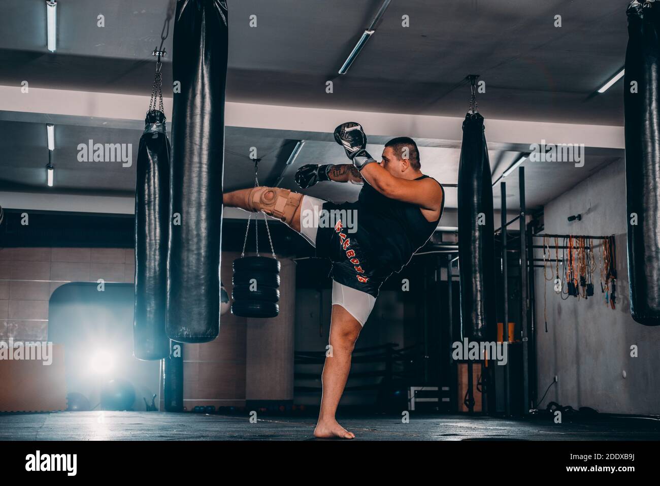 Adult boxer in boxing gloves training with boxing punching bag in a gym ...